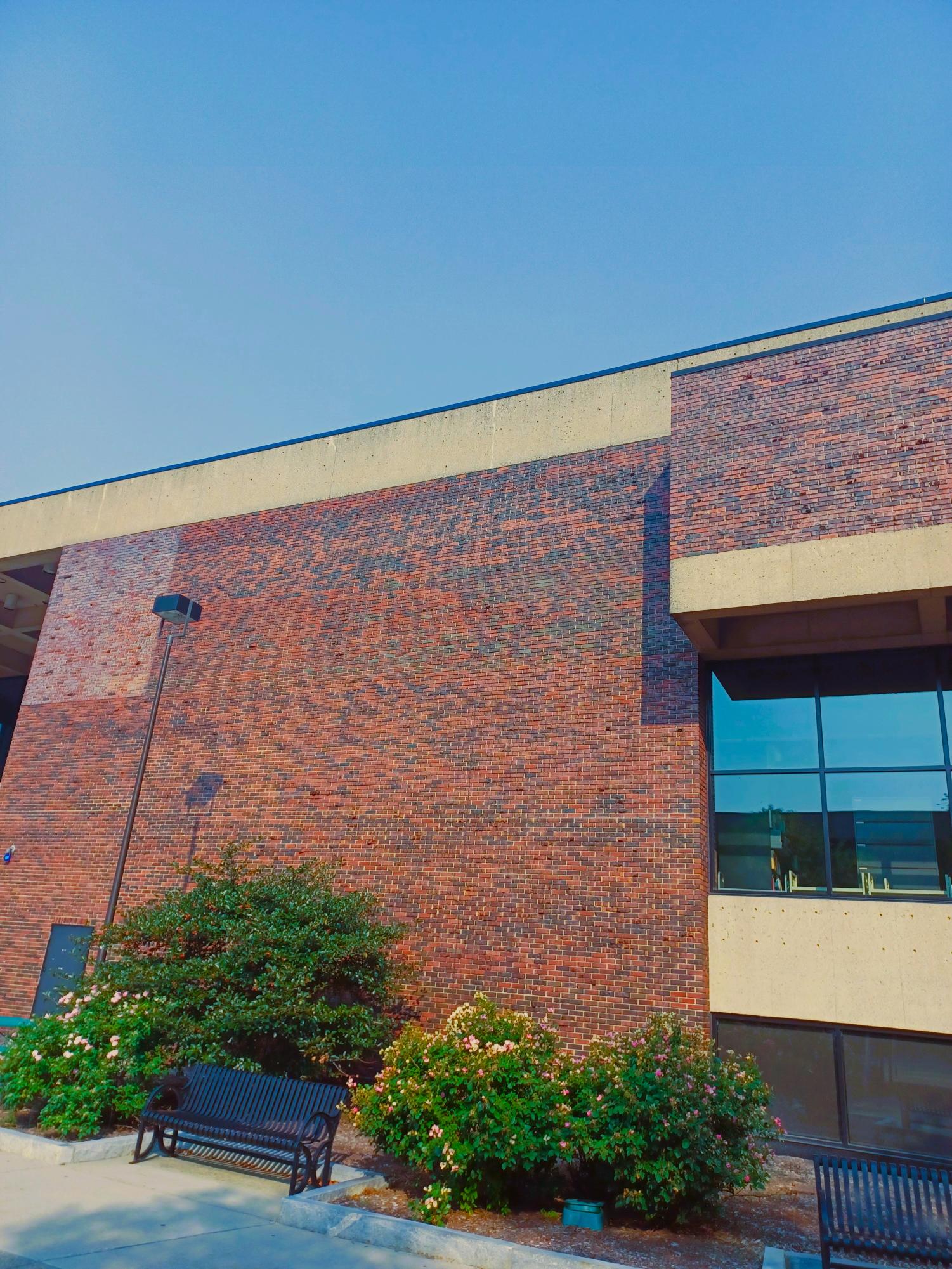 Secrets of Butler Library: An Interview with Charles Lyons, Library ...
